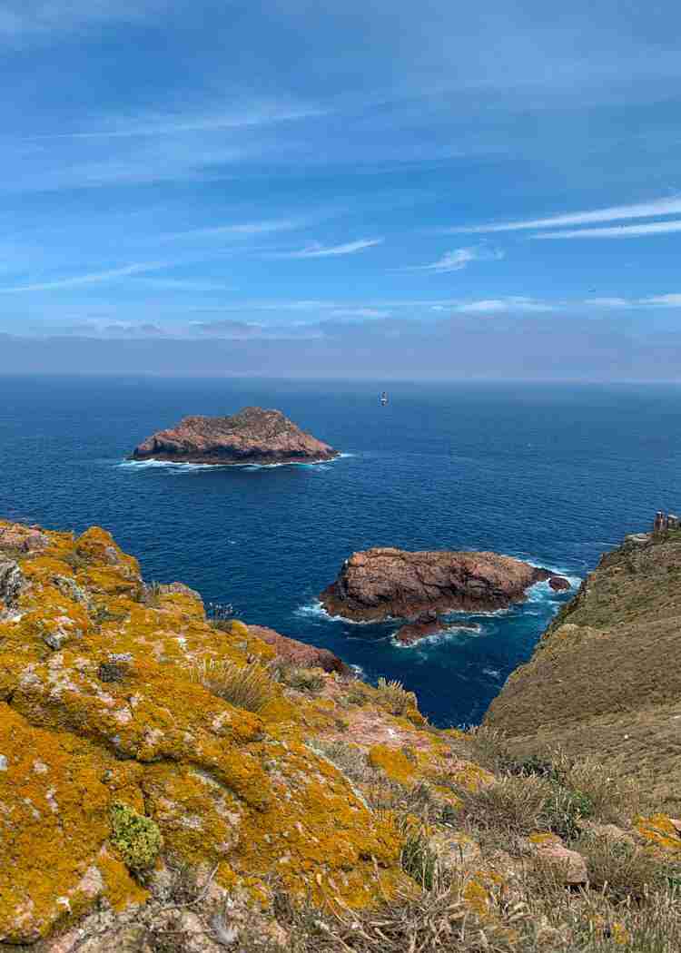 Day Trip to Berlenga Island From Peniche - Packed For Portugal